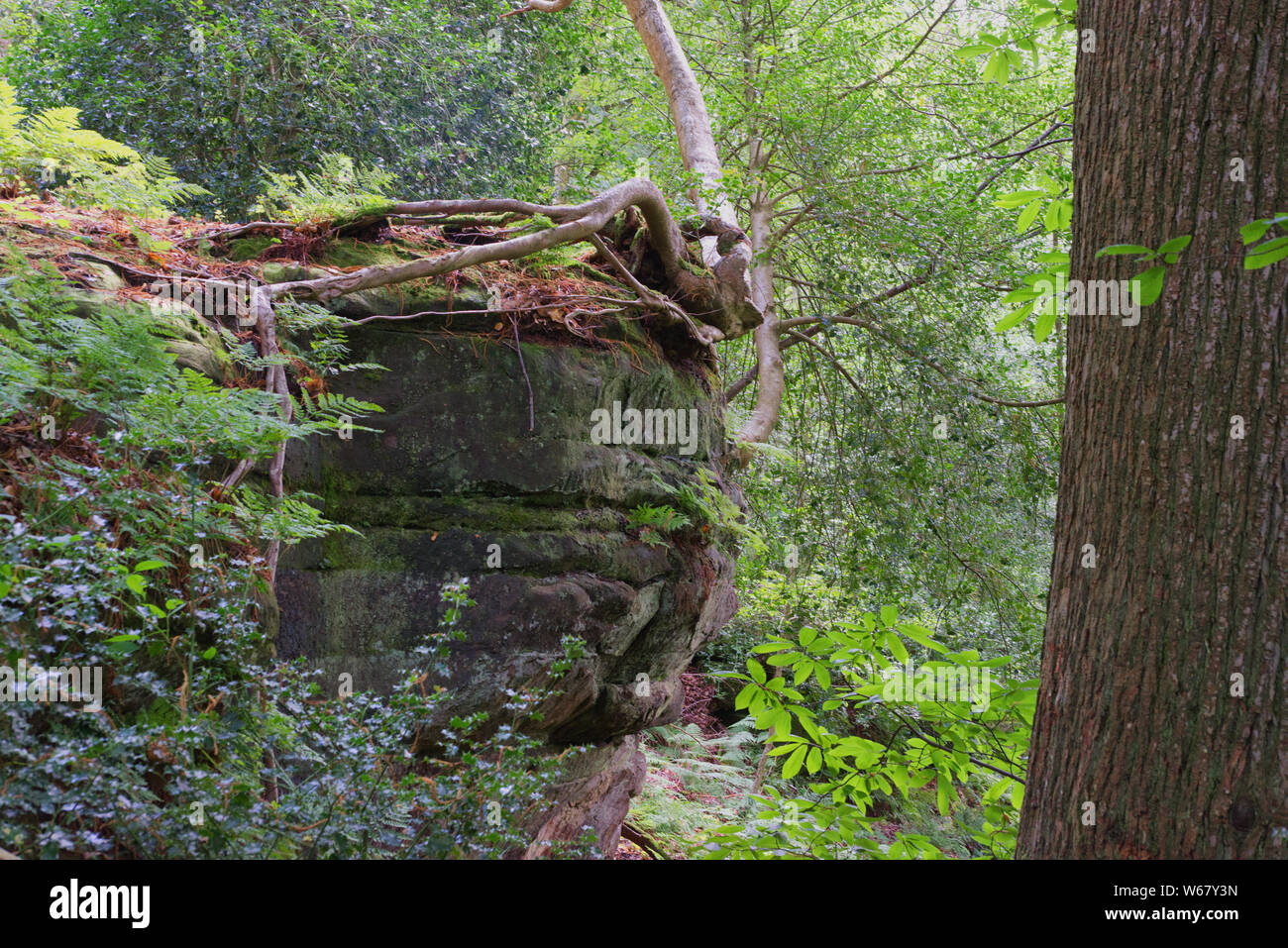 Rocks housing hi-res stock photography and images - Alamy