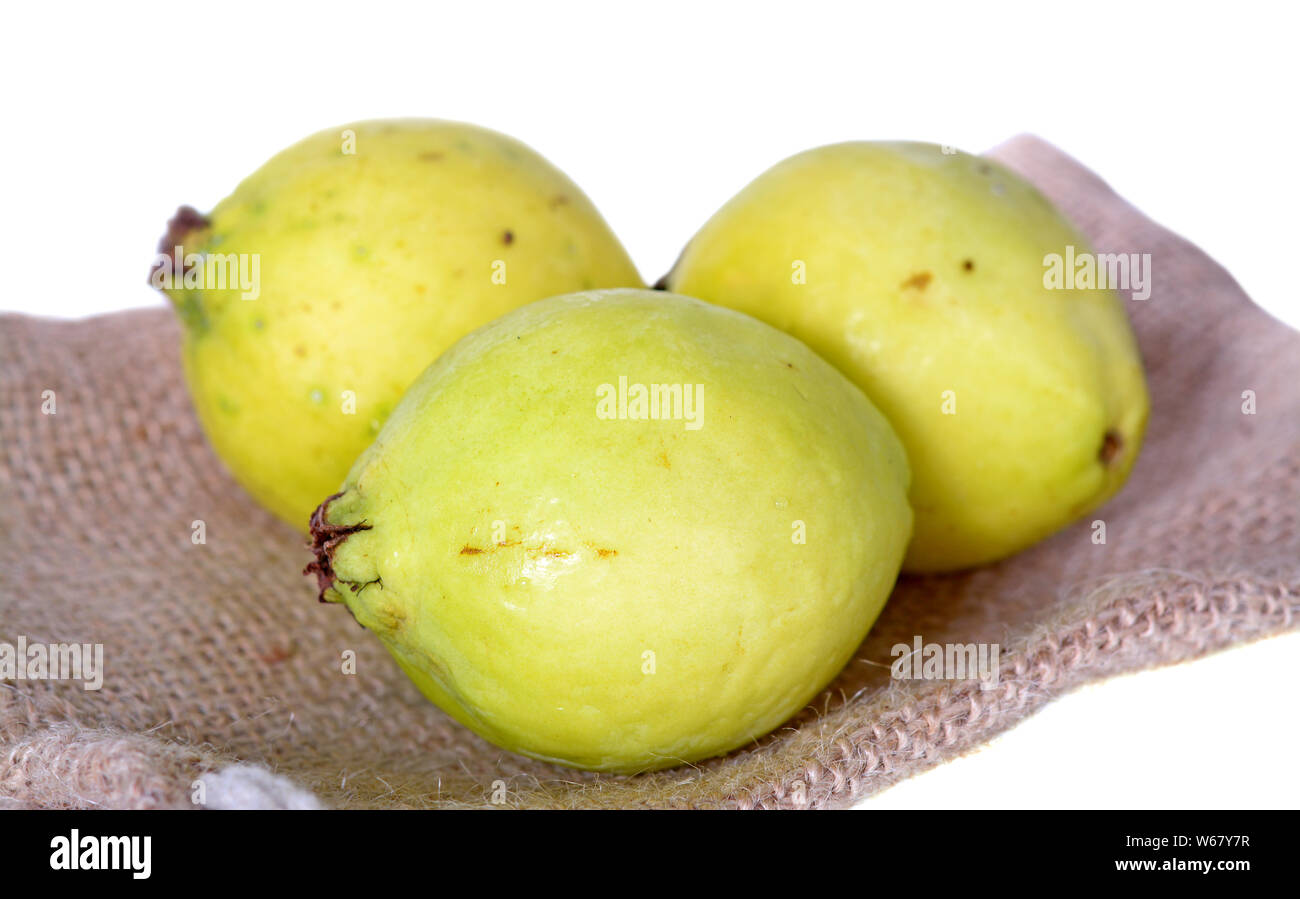 three guava on the burlap bag isolated on white Stock Photo - Alamy
