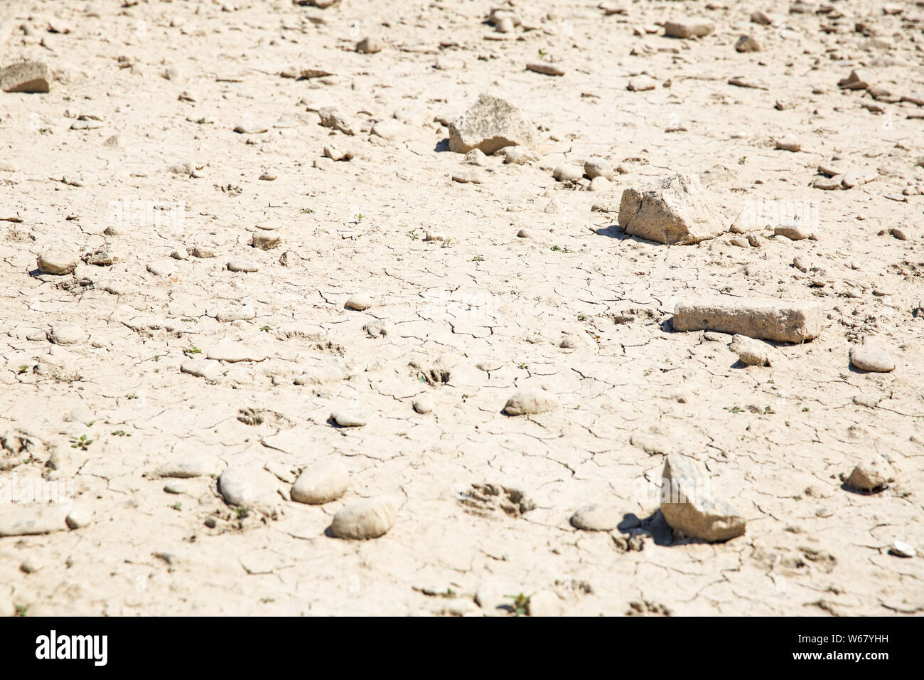 Drought in Dusseldorf - Germany Stock Photo - Alamy
