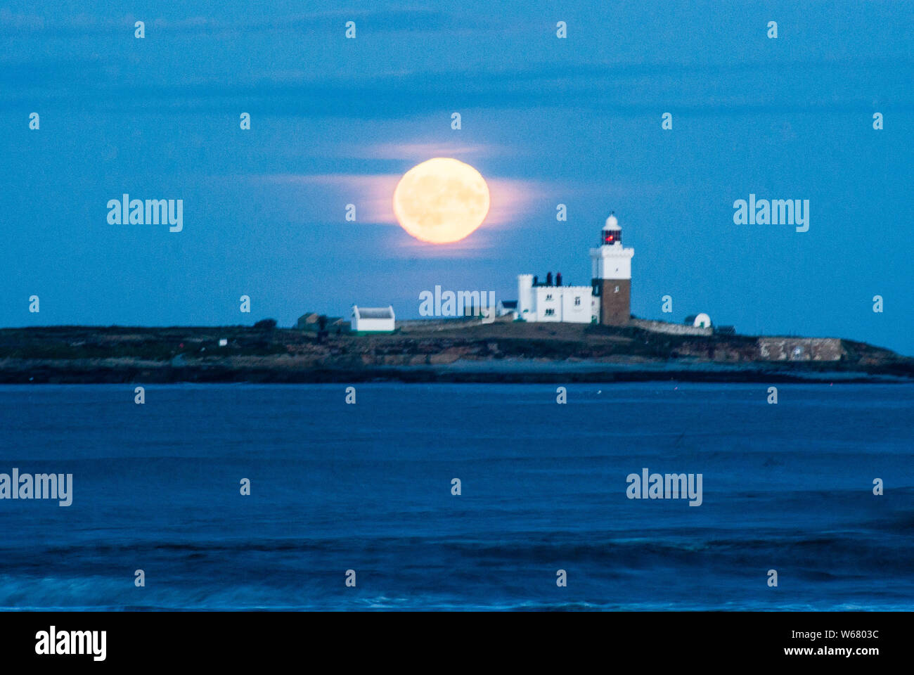 Coquet island hi-res stock photography and images - Alamy