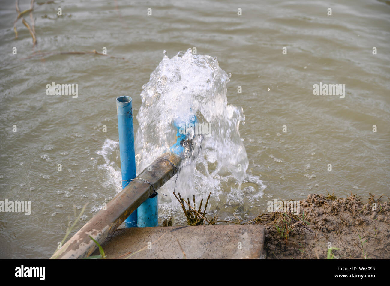 Swamp pipe hi-res stock photography and images - Alamy