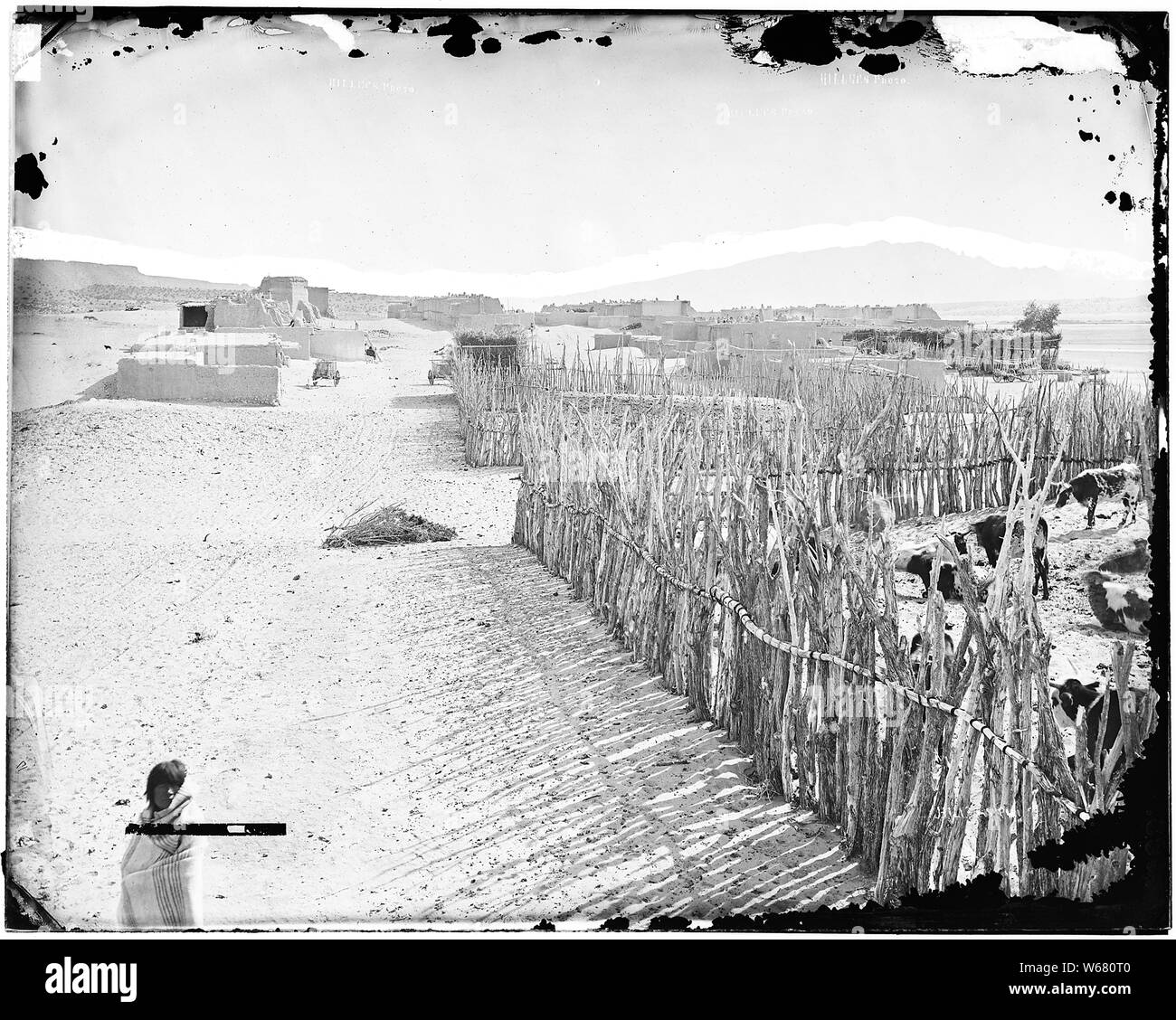 Identified Cut Out Stock Images & Pictures - Alamy