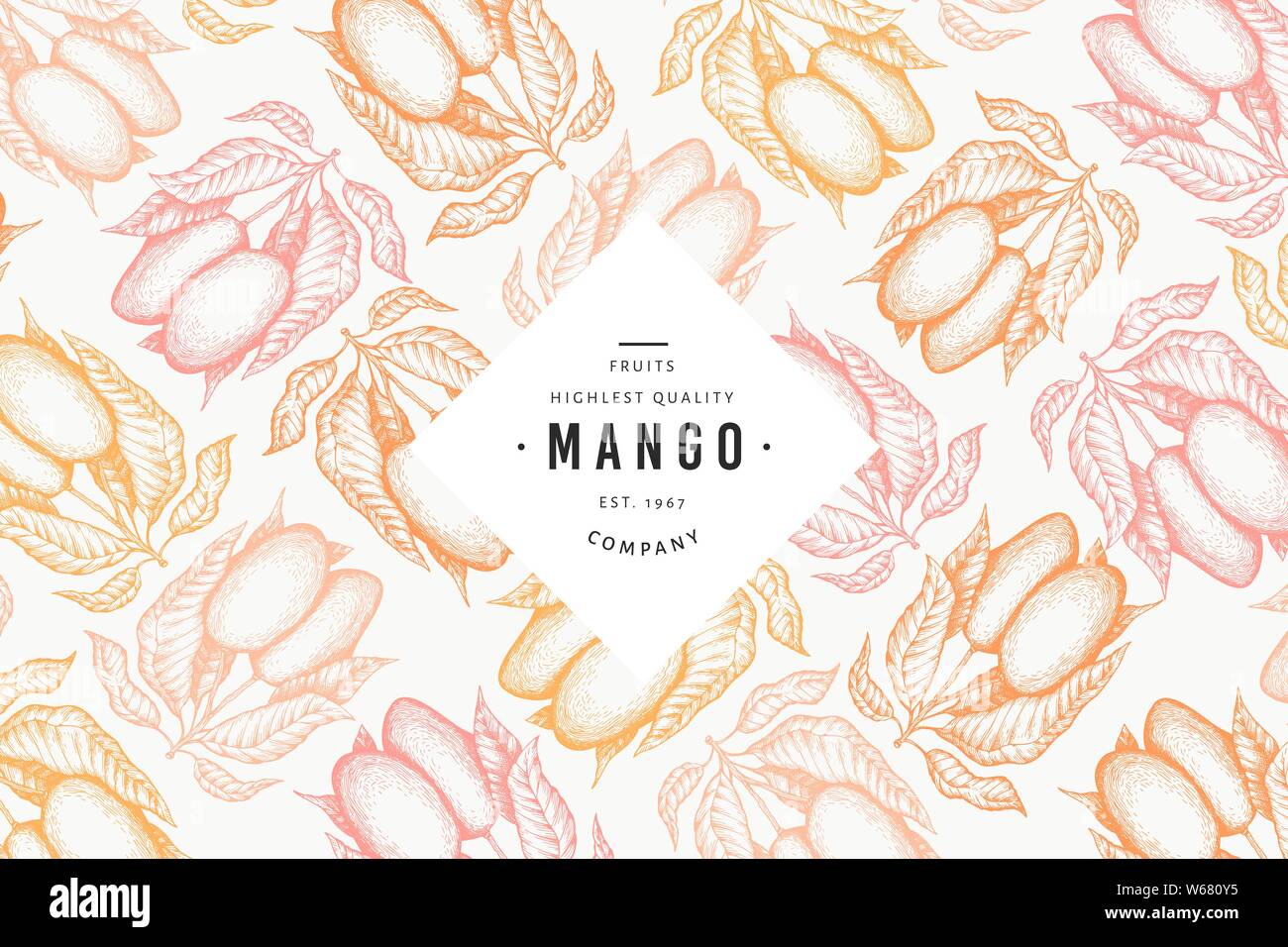 Mango design template. Hand drawn vector tropic fruit illustration ...