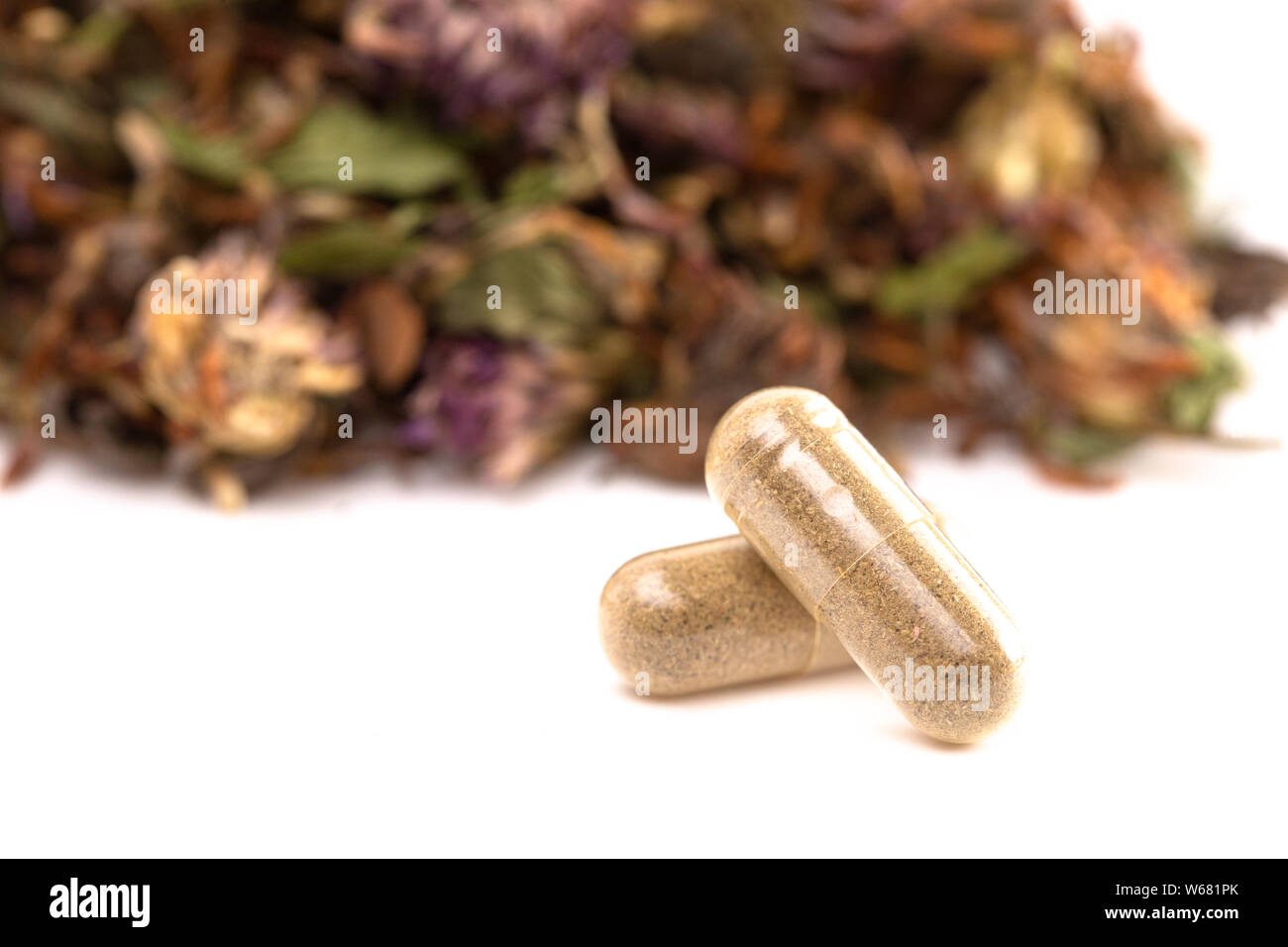 Dried Red Clover Flowers and Leaves Isolated on a White Background ...