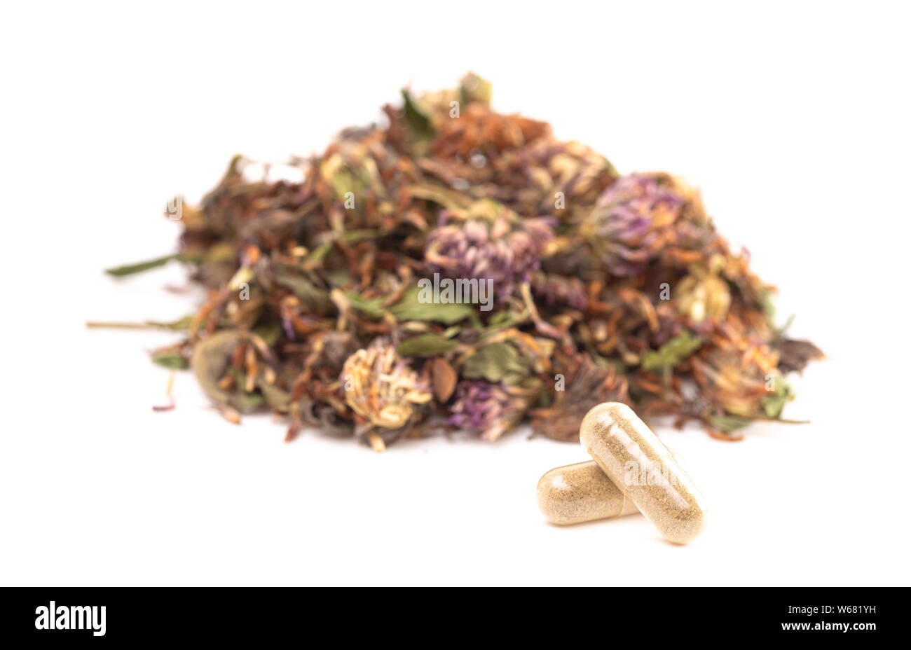 Dried Red Clover Flowers and Leaves Isolated on a White Background ...