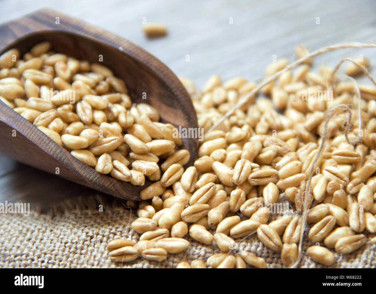 Wheat grains in wooden spoon Stock Photo - Alamy