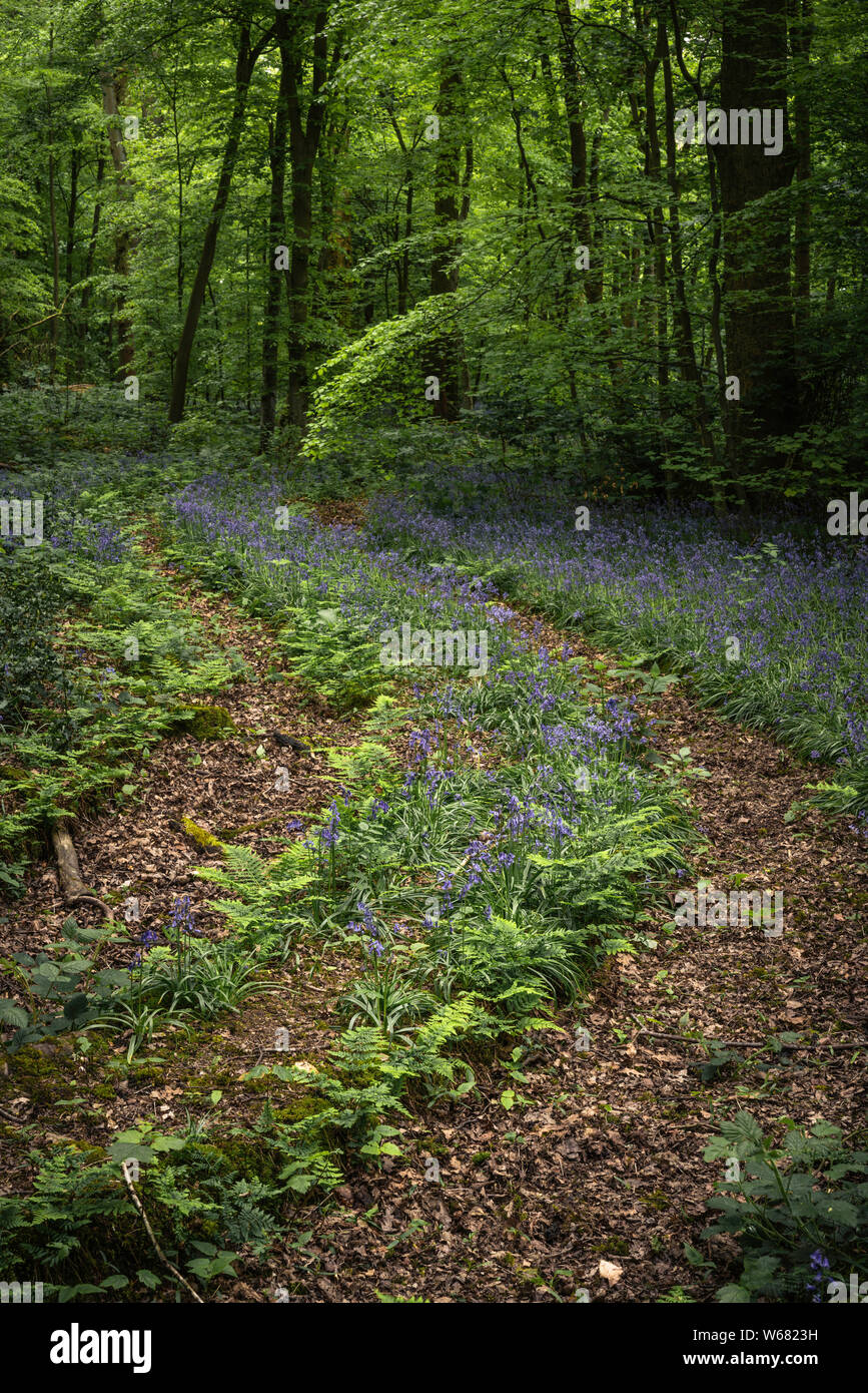 Digbeth art hi-res stock photography and images - Alamy