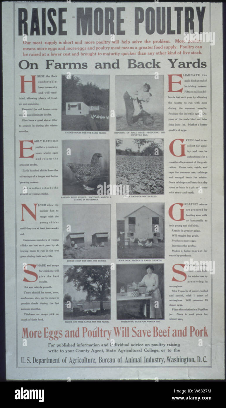 Raise More Poultry...on Farms and Back Yards...More Eggs and Poultry ...