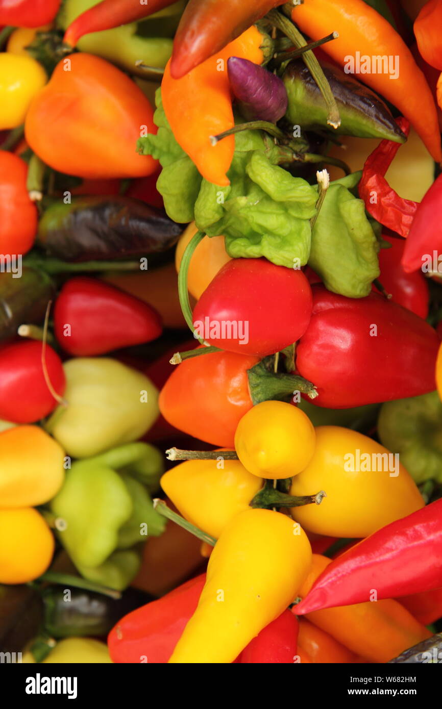 colorful hot peppers as a background Stock Photo - Alamy