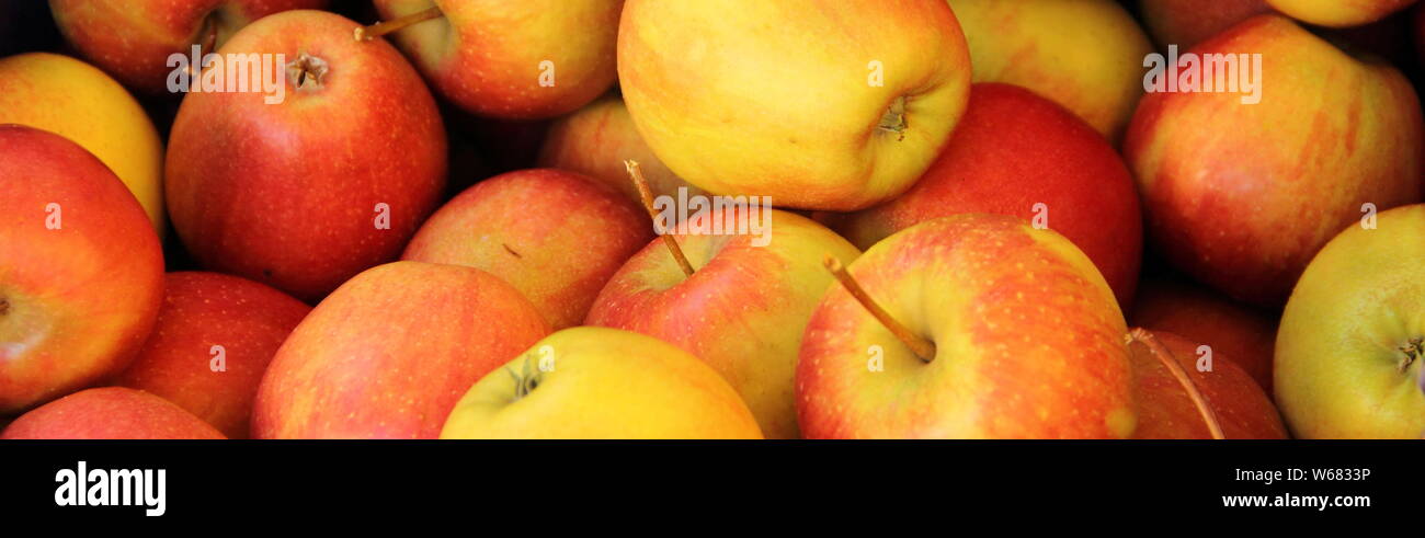 Colorful apples as a background Stock Photo - Alamy
