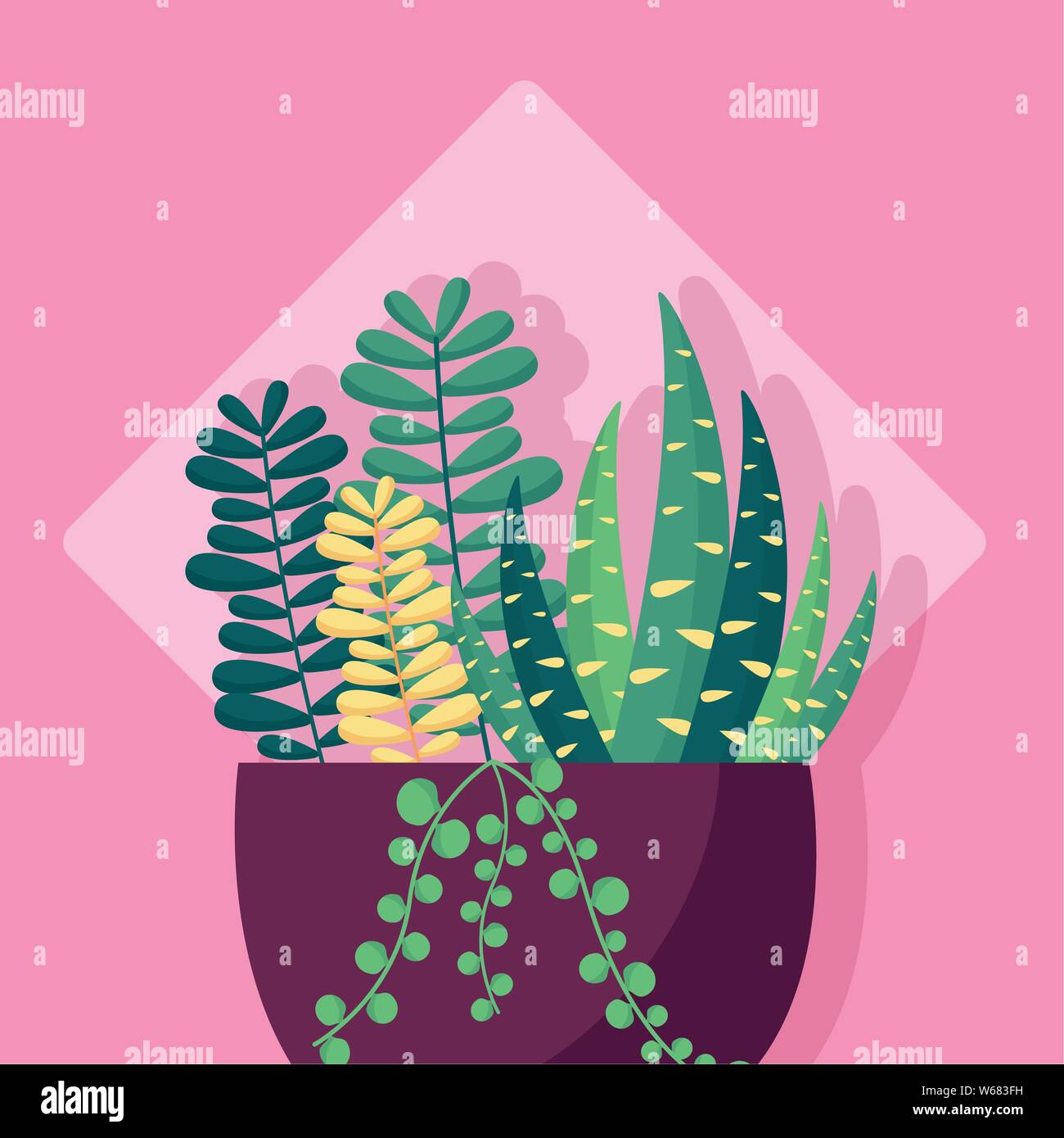 decorative plants flat image design Stock Vector Image & Art - Alamy