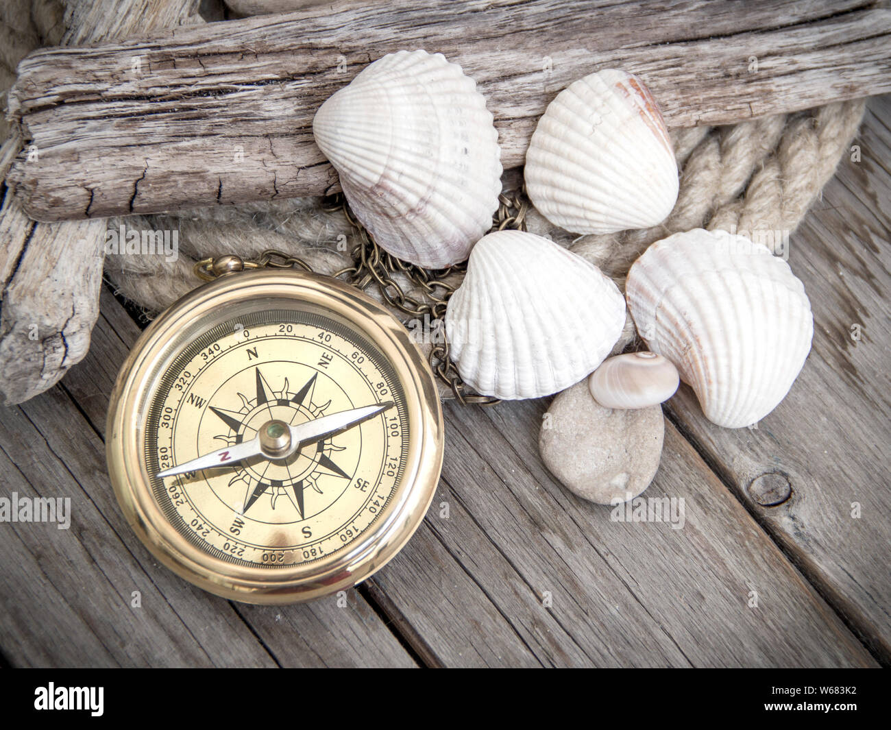 Exploring background with compass and seashells Stock Photo - Alamy