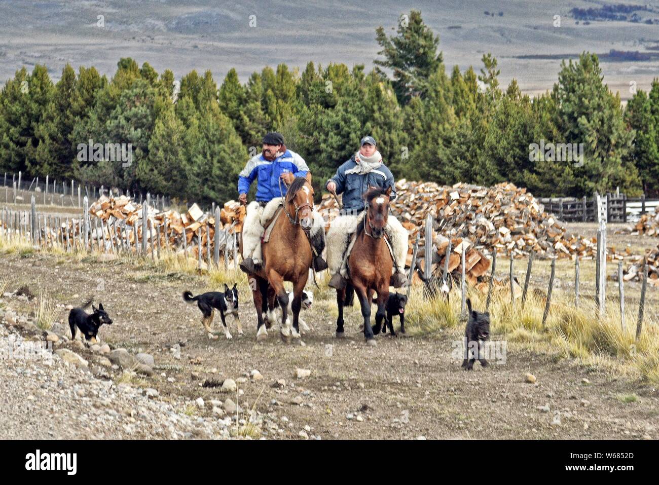 Pareja andina hi-res stock photography and images - Alamy
