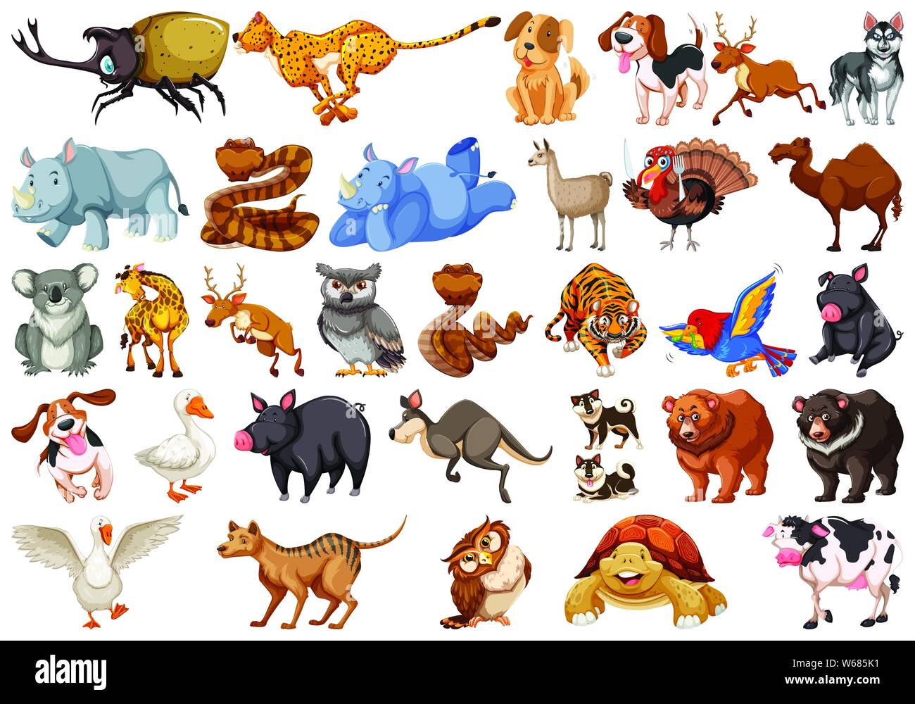 Fast And Slow Animals