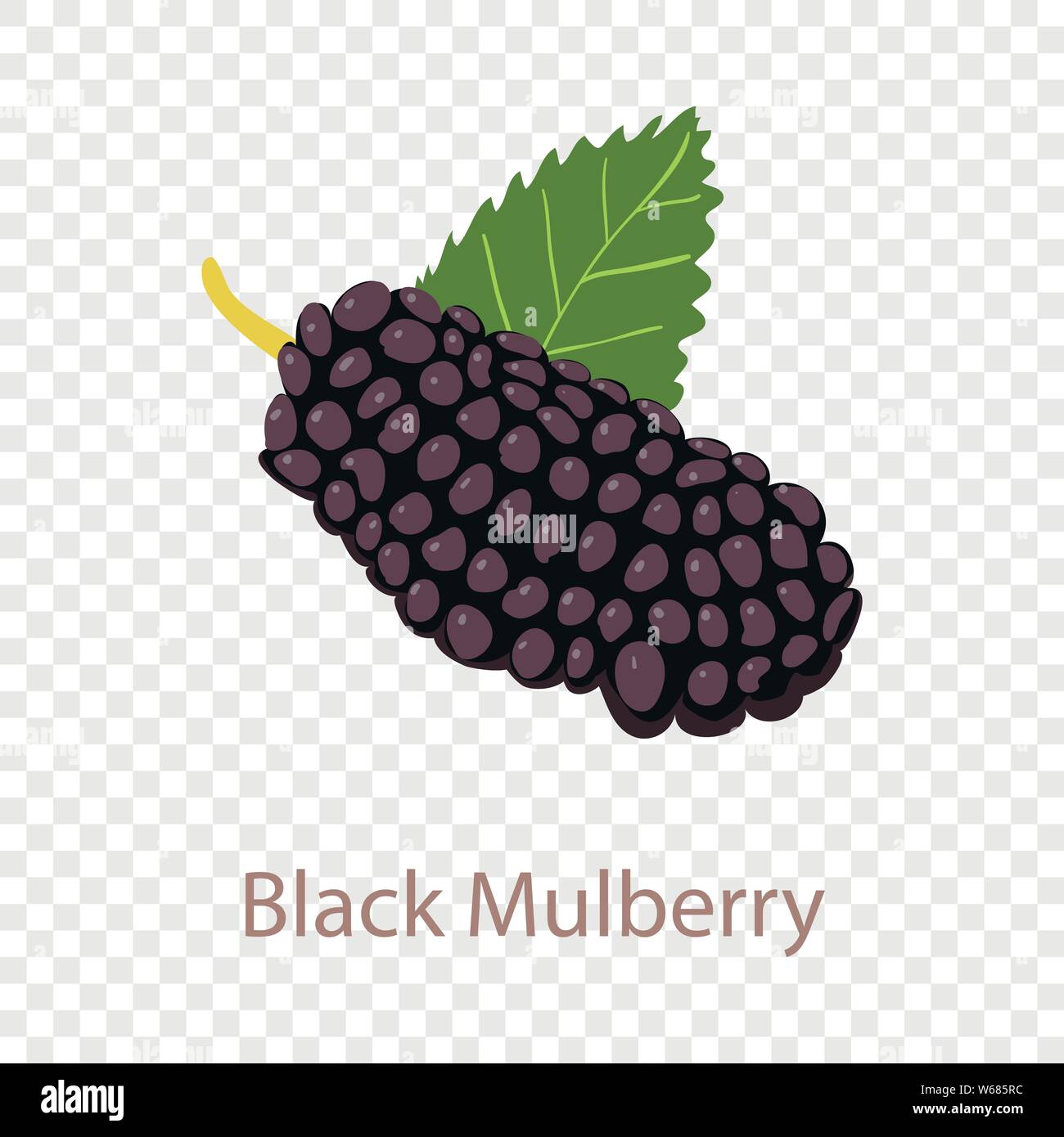 Mulberry pattern Stock Vector Images - Alamy