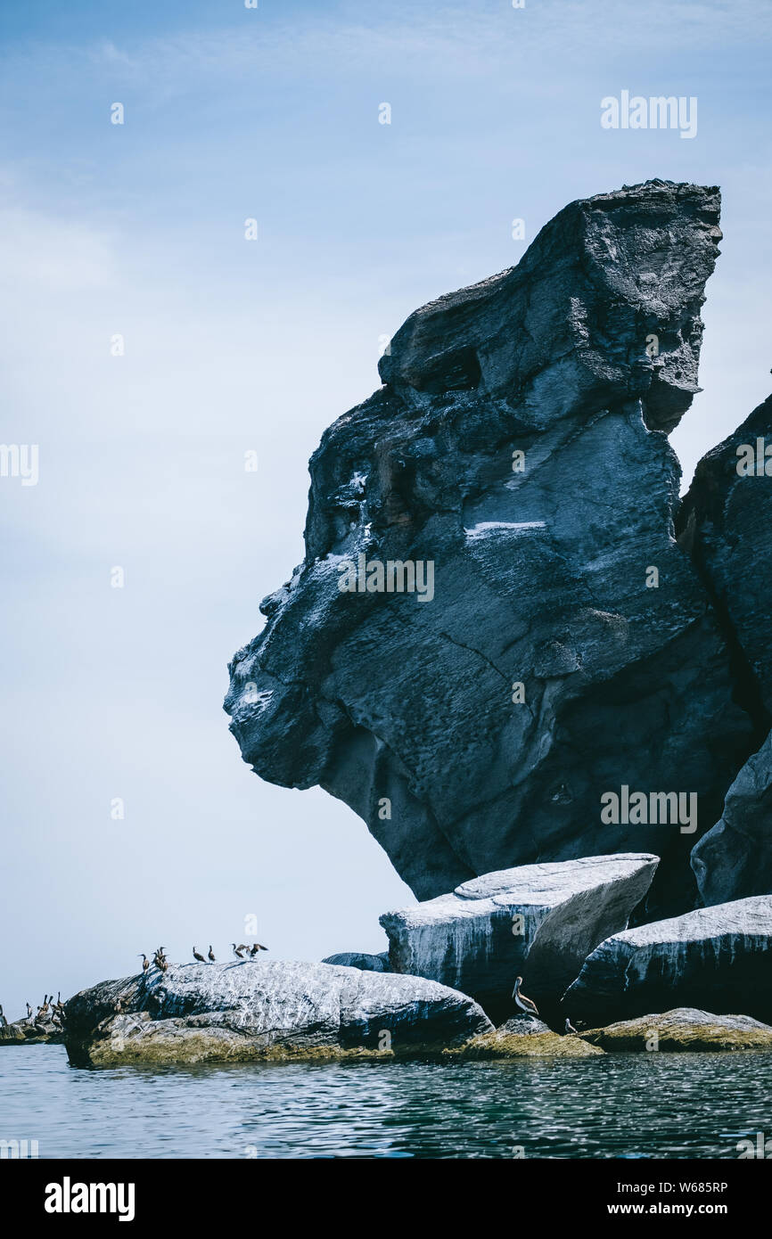 monkey head looking rock at sea Stock Photo - Alamy