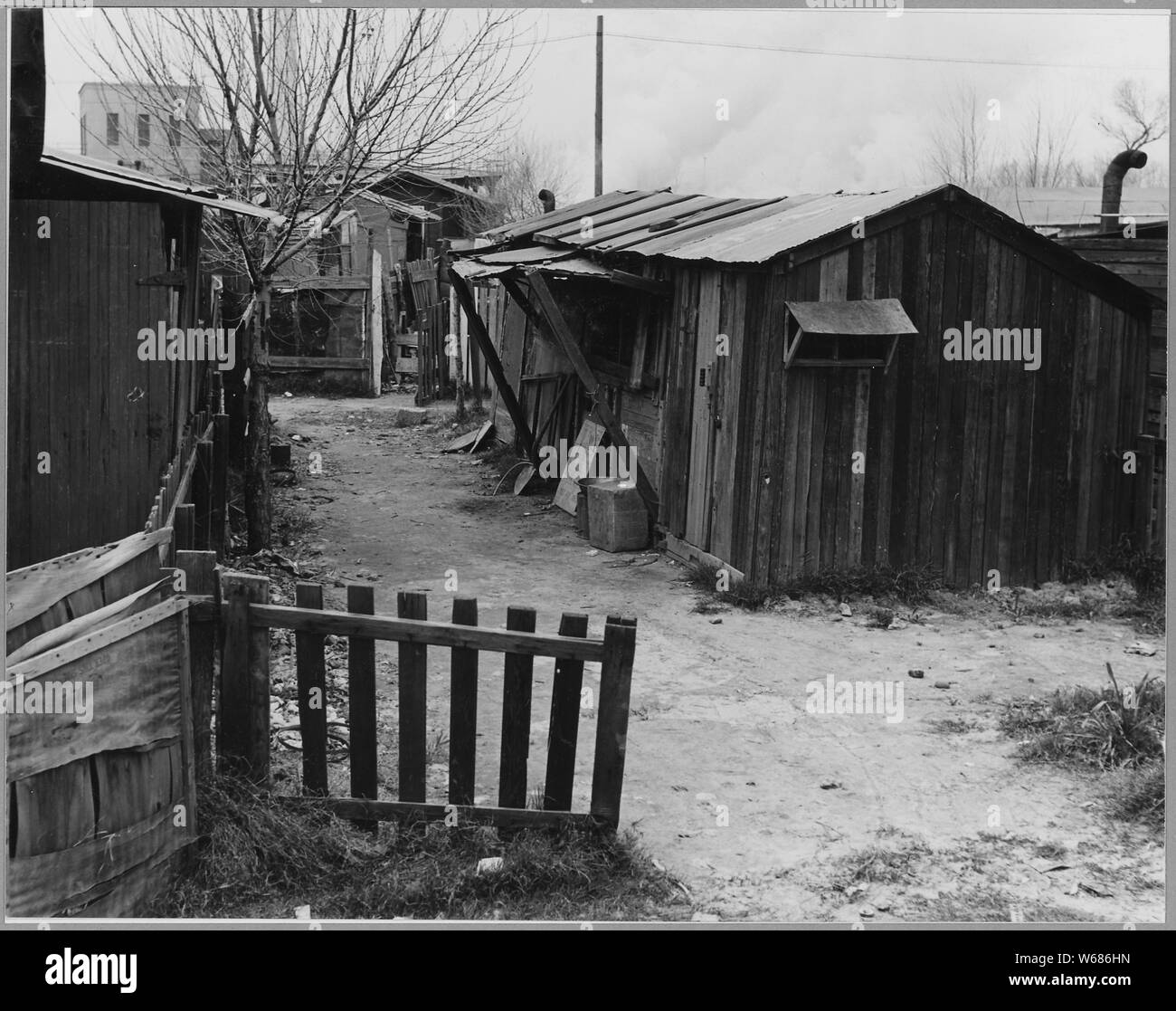 Sacramento, California. A typical dwelling in Louis' Camp; Scope and ...