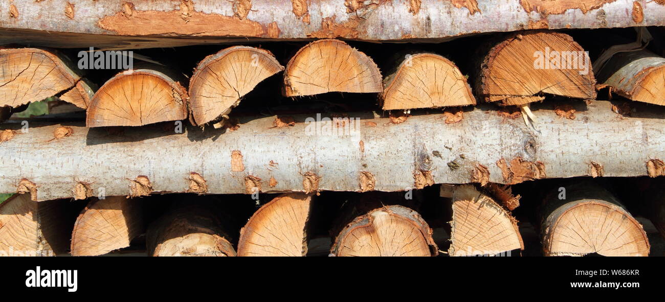 split dry firewood Stock Photo - Alamy