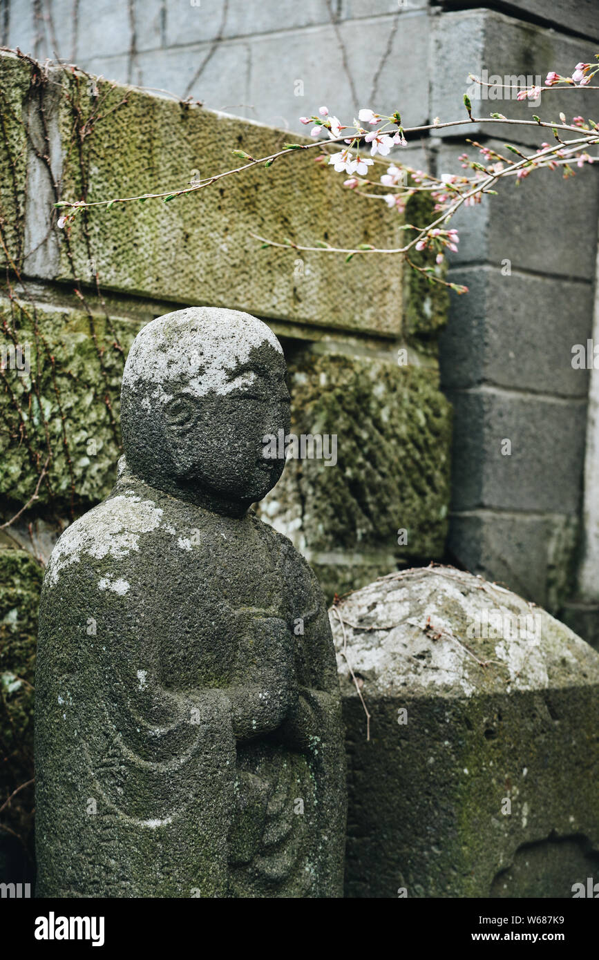 Buddha statue and cherry tree flowers in a Japanese cemetery Stock ...