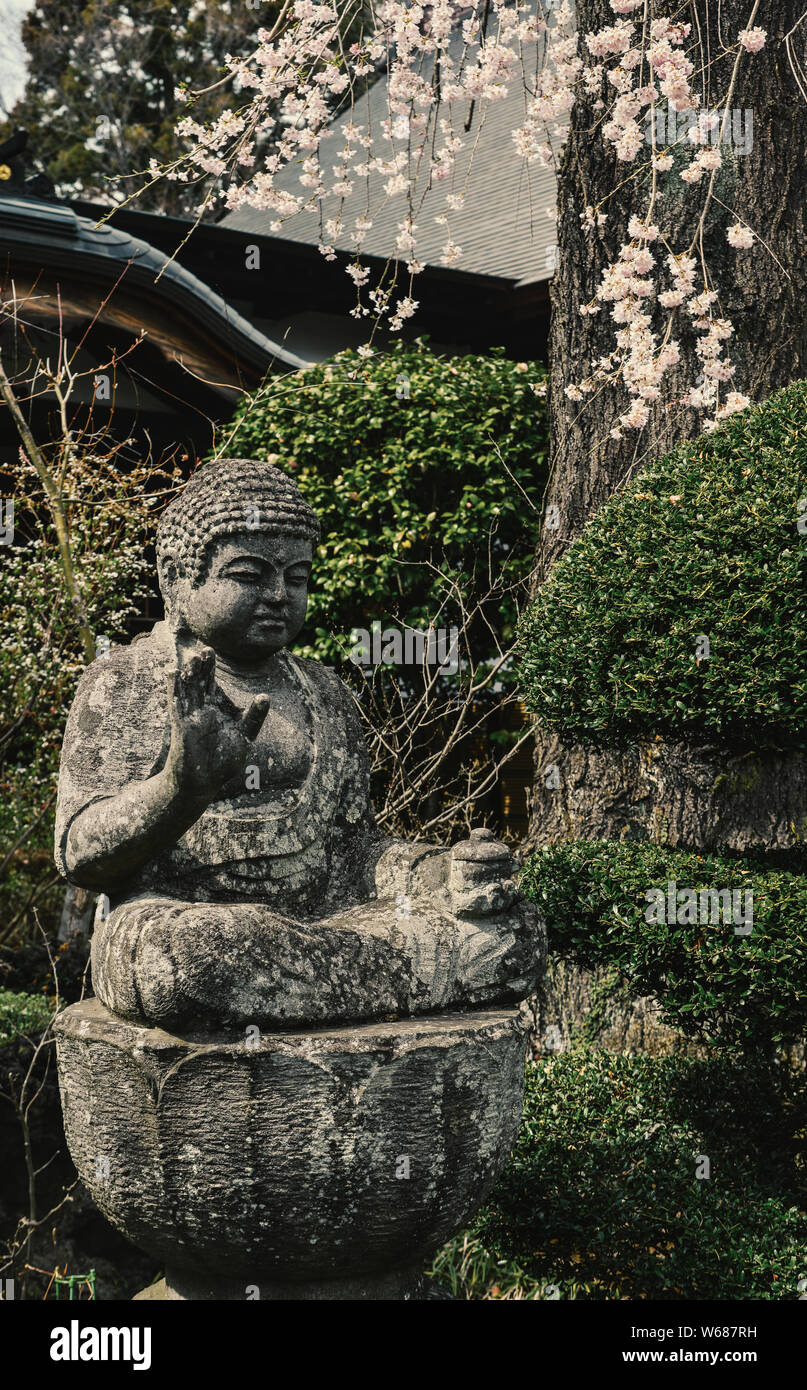 Buddha statue and cherry tree flowers in a Japanese cemetery Stock ...