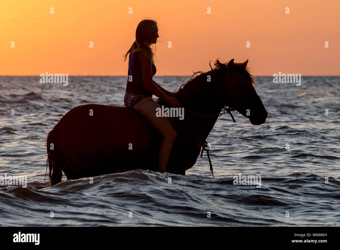 Bareback rider riders riding hi-res stock photography and images - Alamy