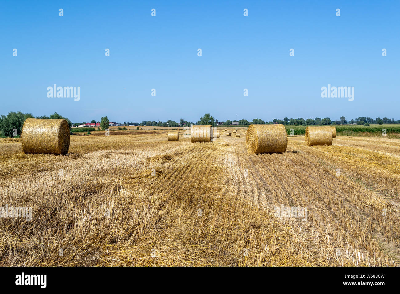 Cornfields from above hi-res stock photography and images - Alamy