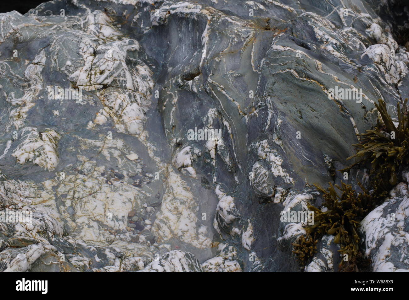 Natural Background of Metasedimentary Rock. St Agnes, North Cornwall ...