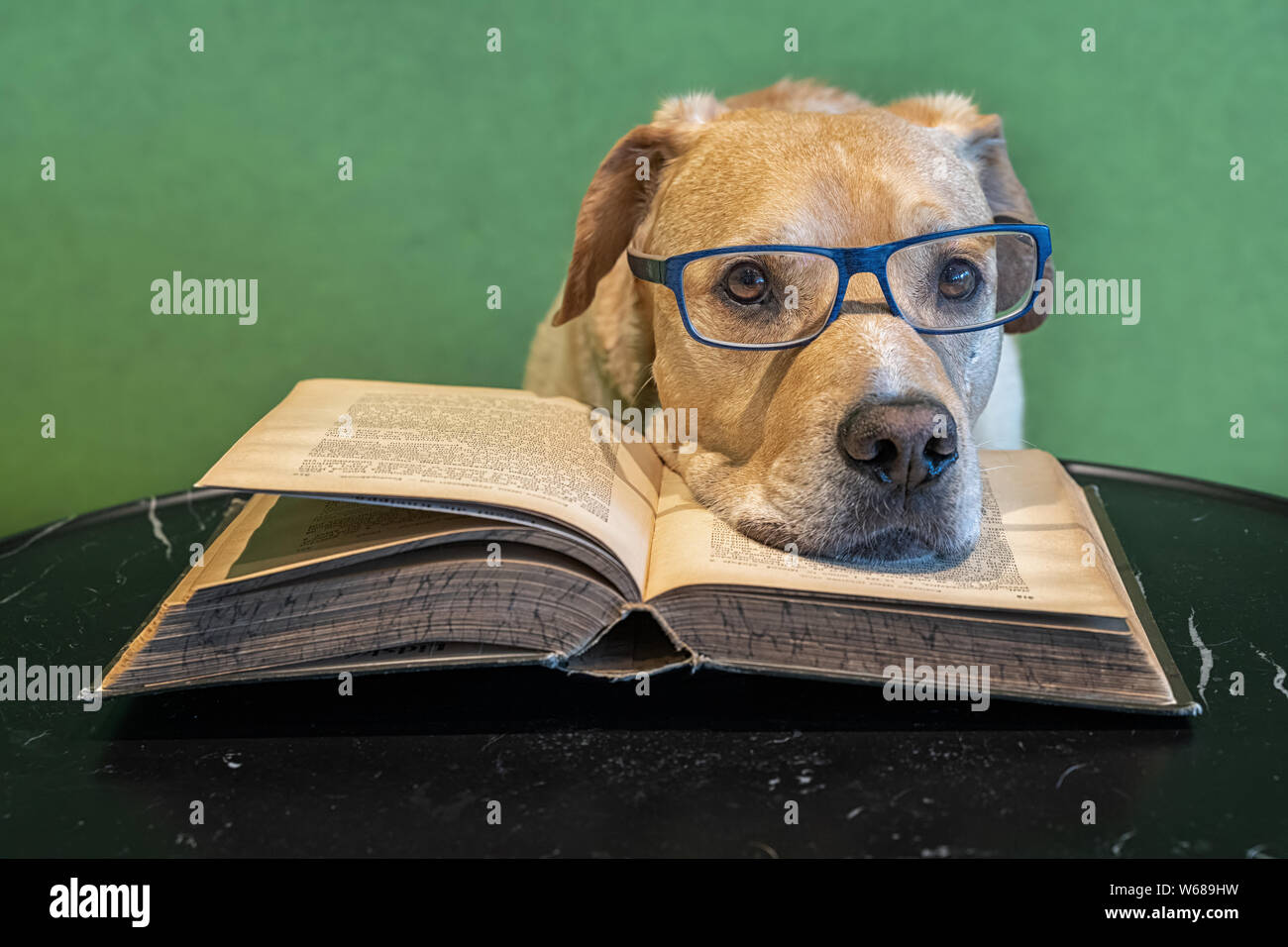 Tired teacher hi-res stock photography and images - Alamy