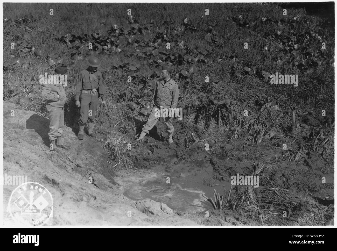 Shell crater hi-res stock photography and images - Alamy