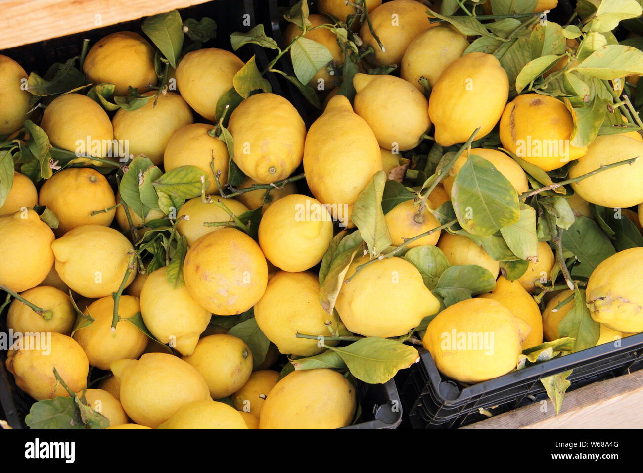 Fresh fruits year round hi-res stock photography and images - Alamy