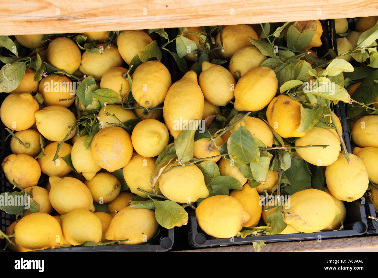 Fresh fruits year round hi-res stock photography and images - Alamy