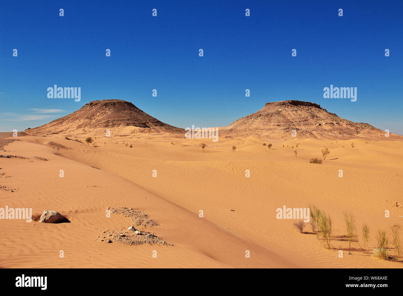 Sahara desert in the heart of Africa Stock Photo - Alamy
