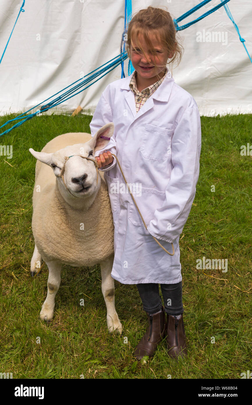 Texan sheep hi-res stock photography and images - Alamy
