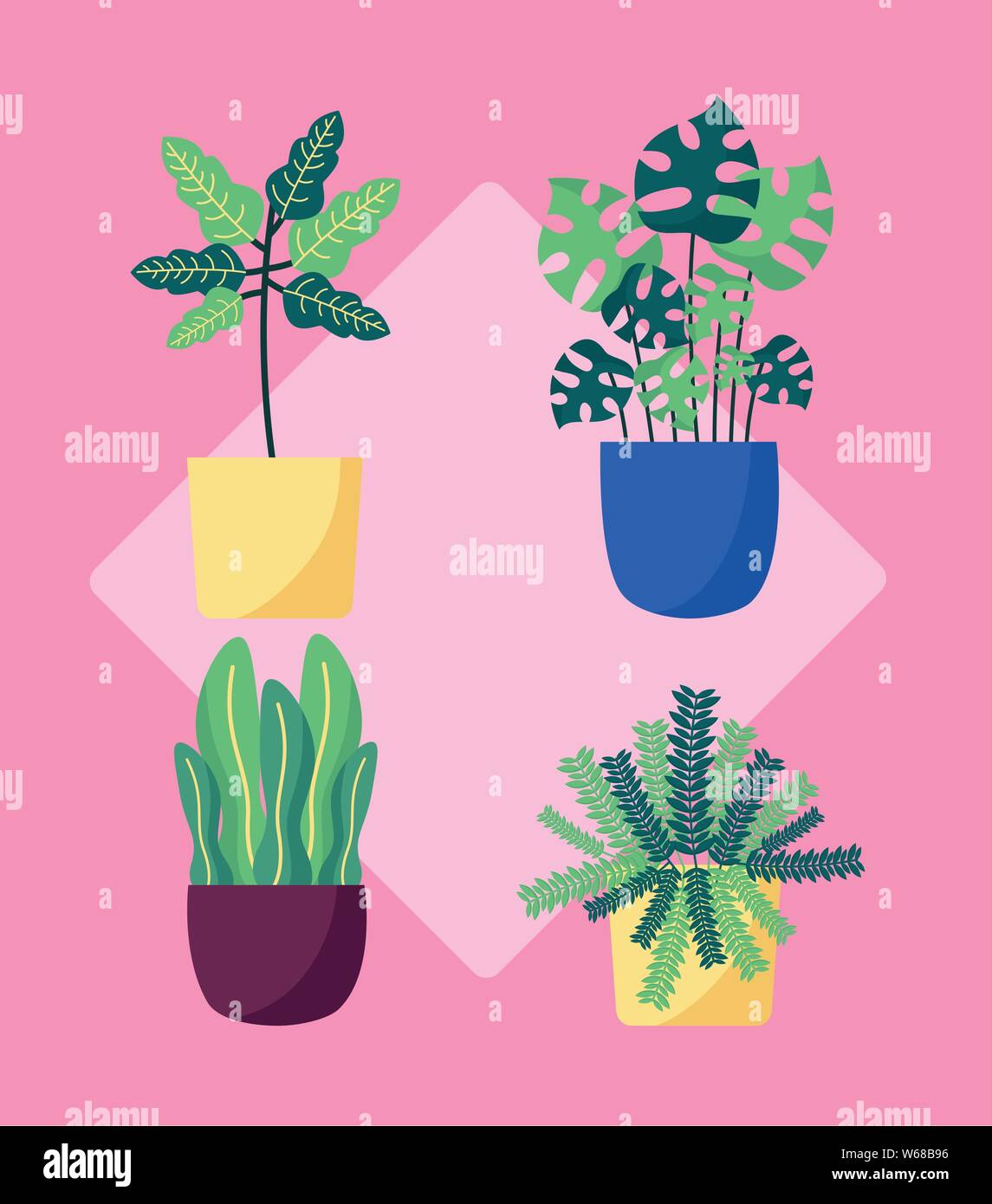 decorative plants flat image design Stock Vector Image & Art - Alamy