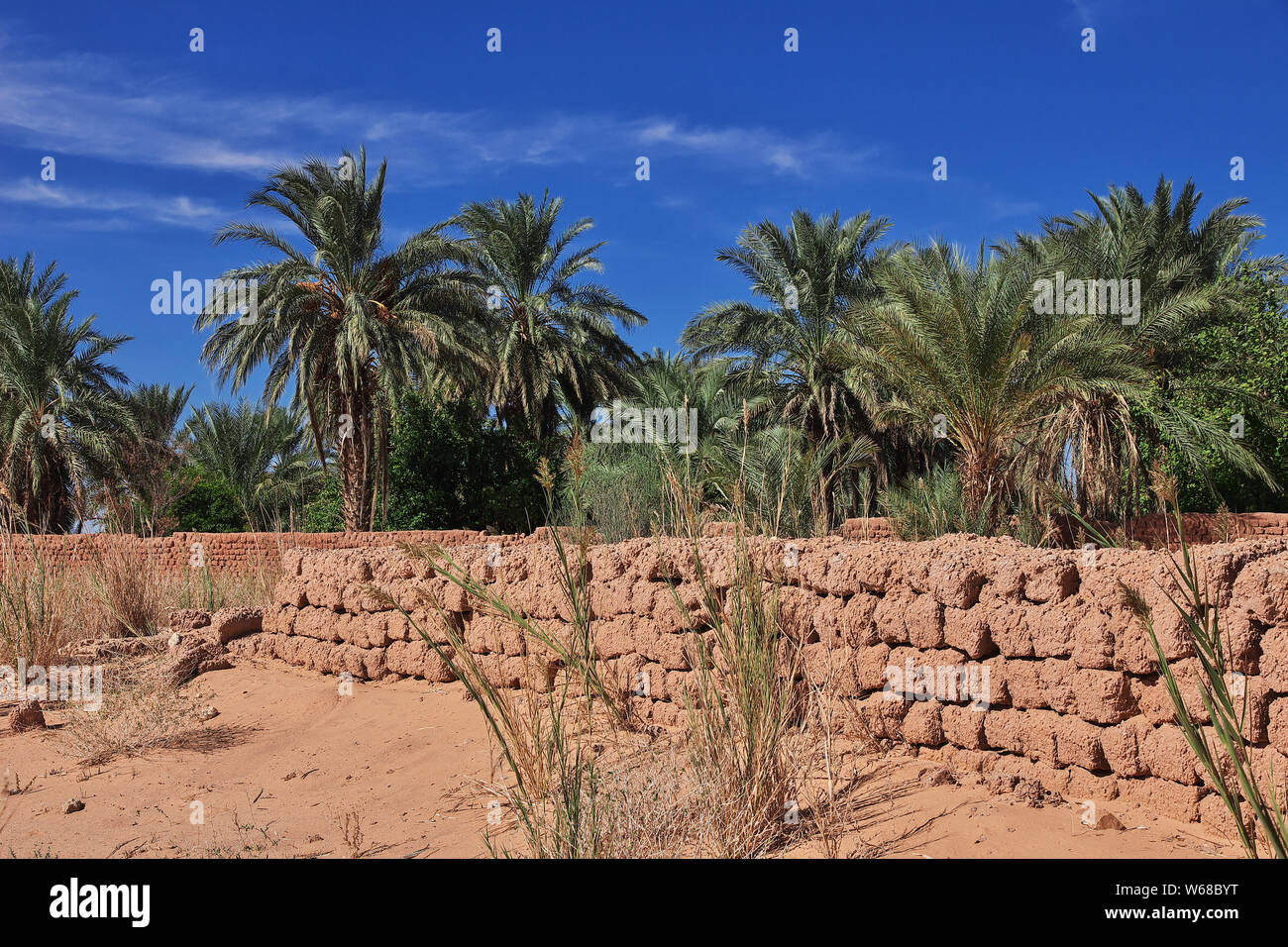 An oasis in the Sahara desert in the heart of Africa Stock Photo - Alamy