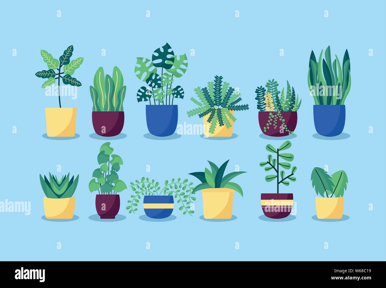 decorative plants flat image design Stock Vector Image & Art - Alamy