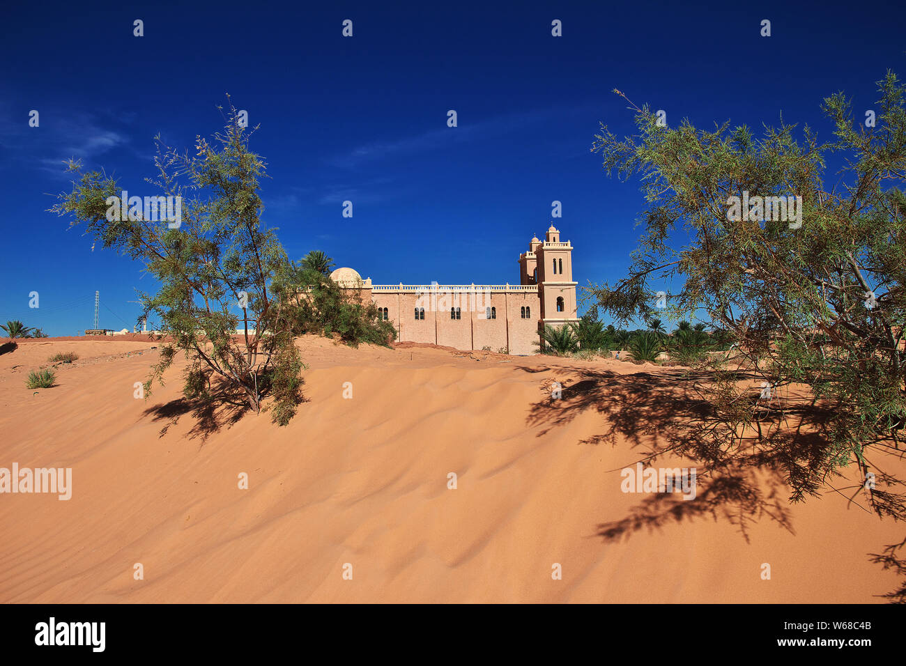 An oasis in the Sahara desert in the heart of Africa Stock Photo - Alamy