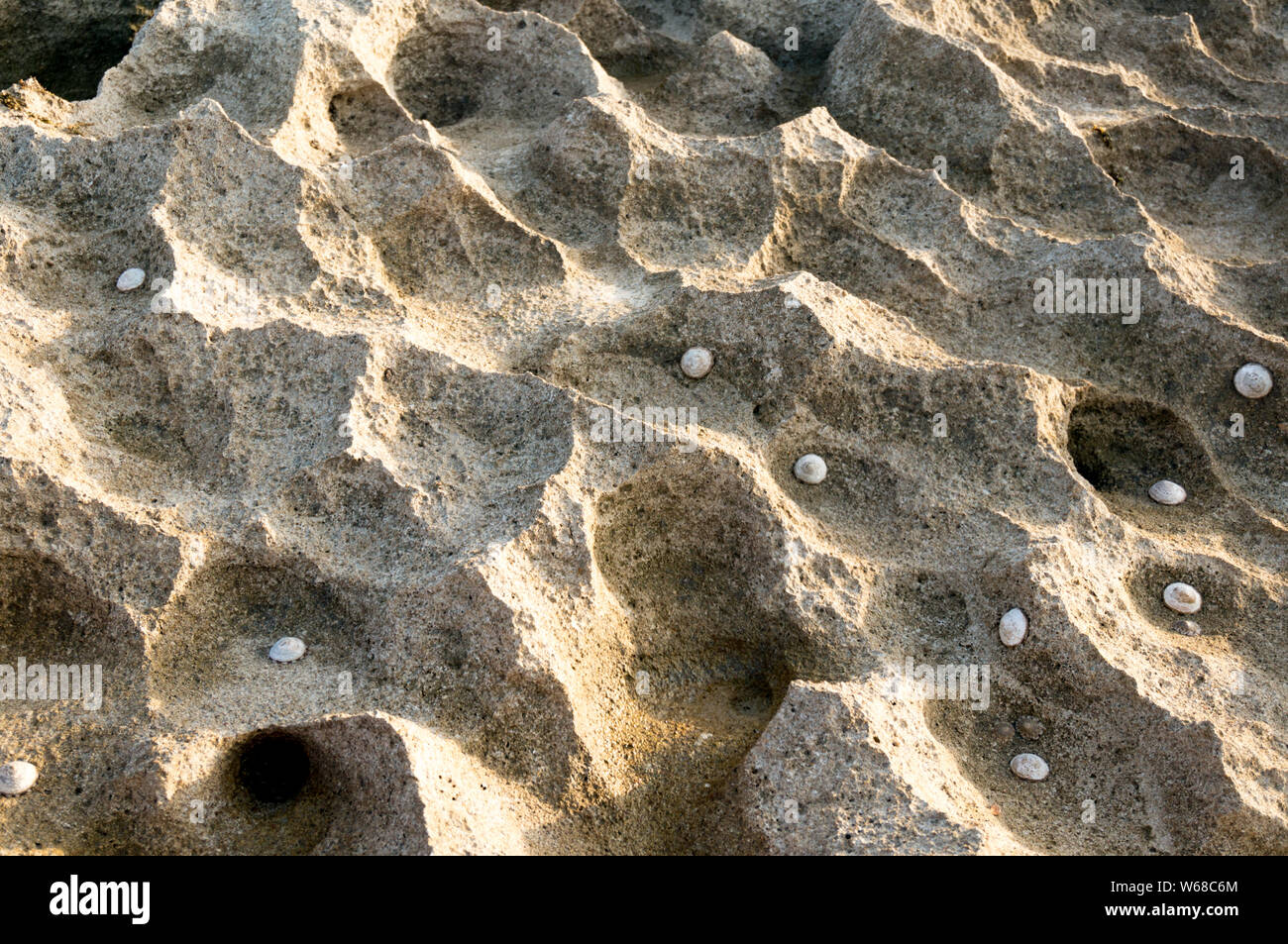 Porus rock hi-res stock photography and images - Alamy