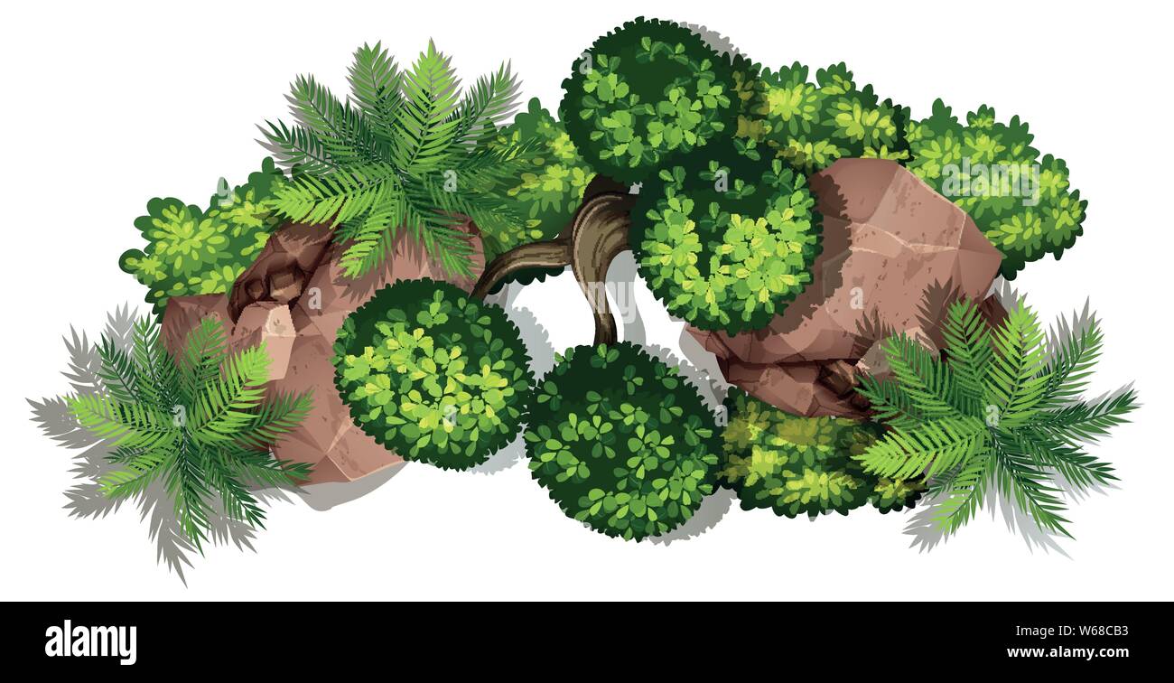 Aerial view of plants and rocks illustration Stock Vector Image & Art ...