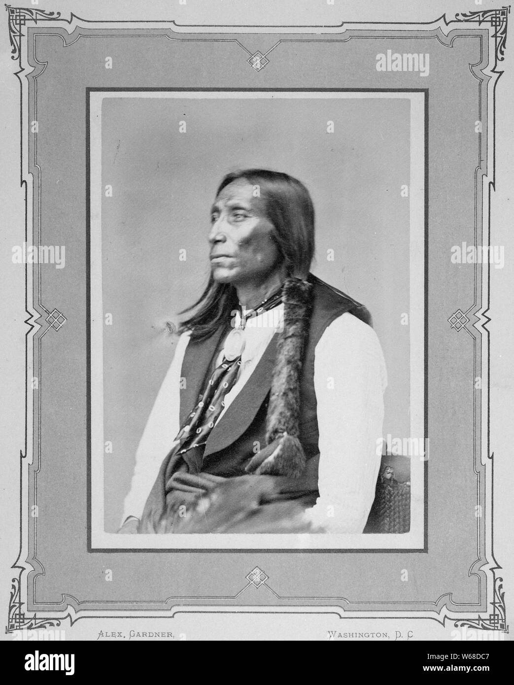 Swift bear hi-res stock photography and images - Alamy