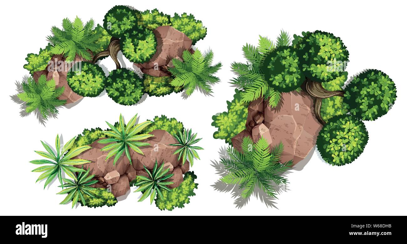 Aerial view of plants and rocks illustration Stock Vector Image & Art ...