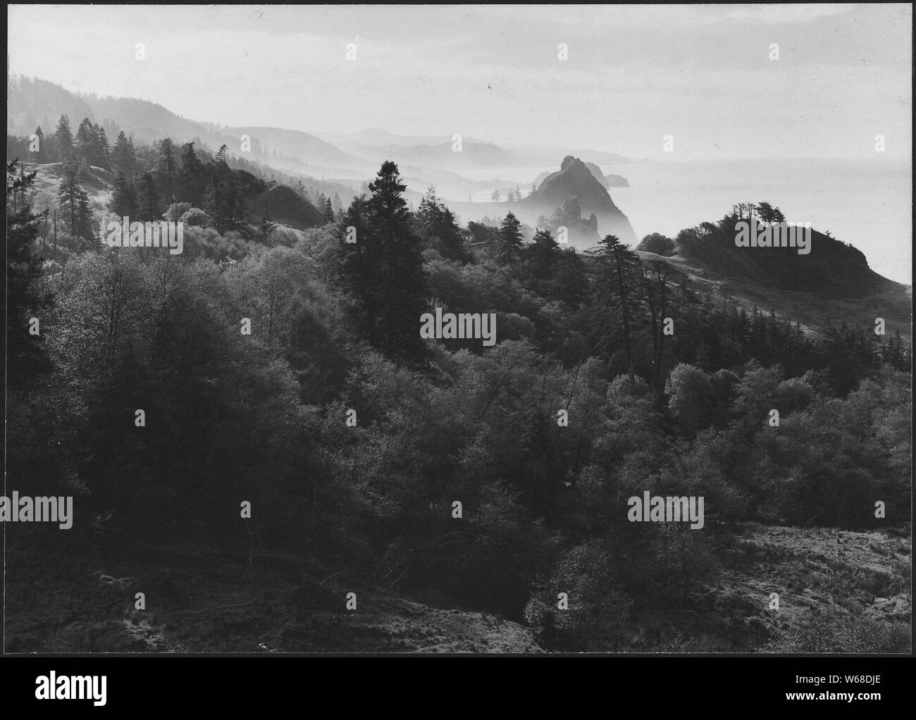 Humbug Black and White Stock Photos & Images - Alamy