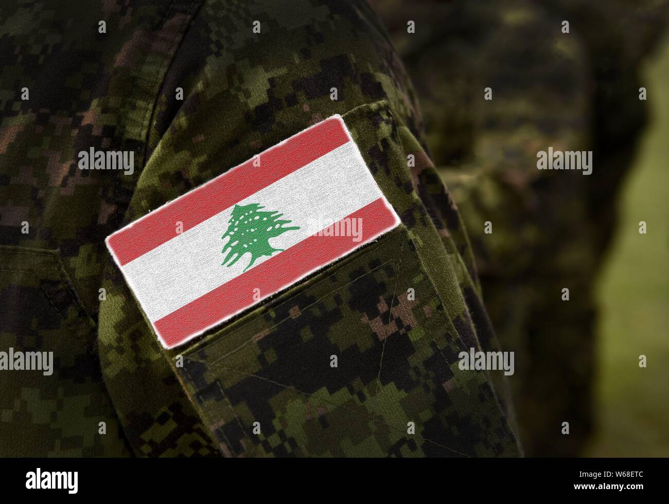 Lebanese Army Flag