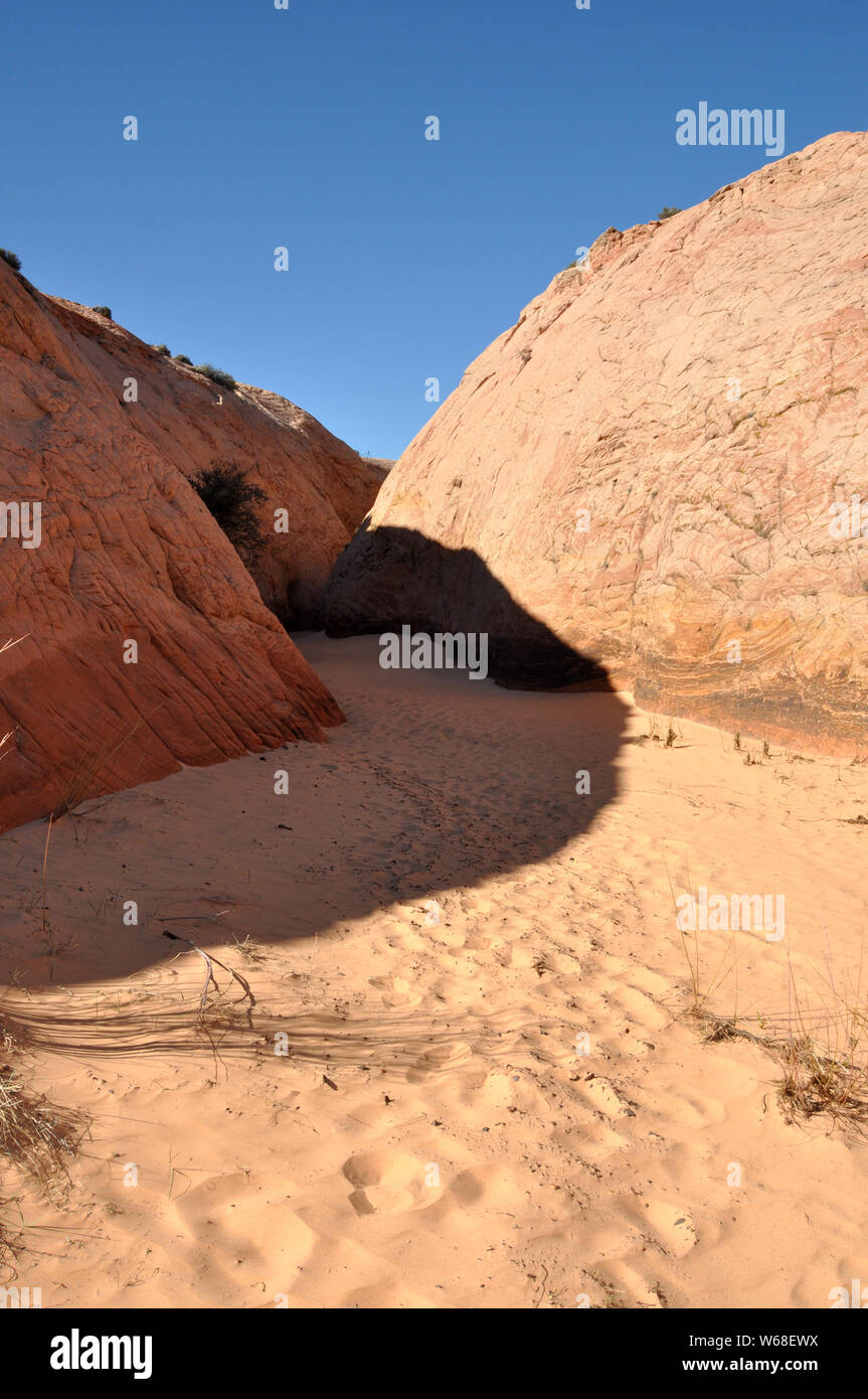 zebra solt canyon utah Stock Photo - Alamy