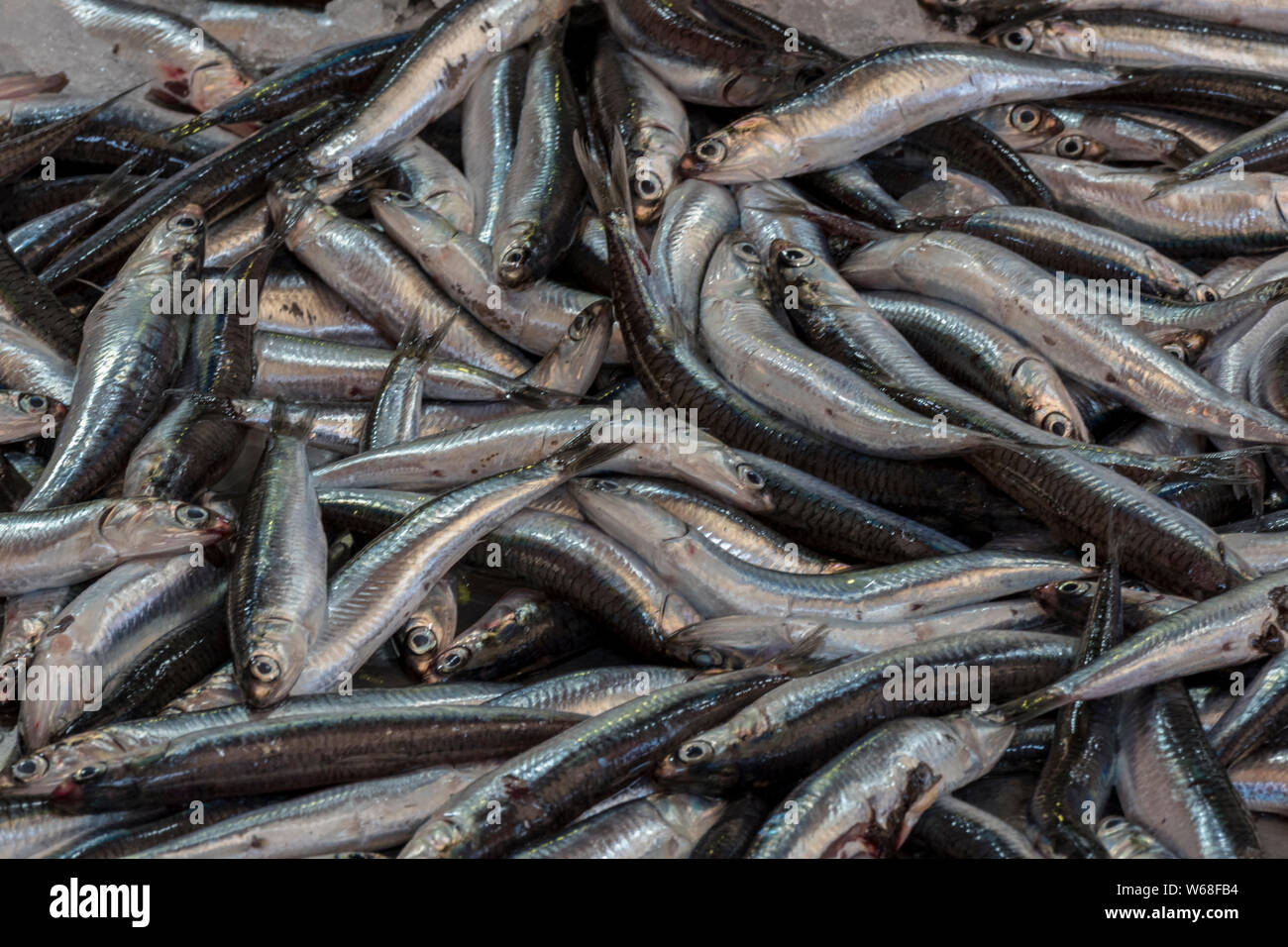 fresh fish on sale at a market in kerkyra, corfu town, corfu, greece ...