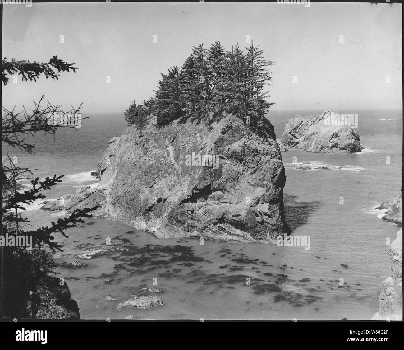 TYPICAL TREE TOPPED ROCK Stock Photo - Alamy