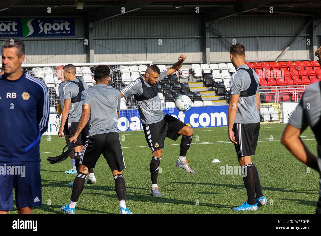 Wolves training hi-res stock photography and images - Alamy