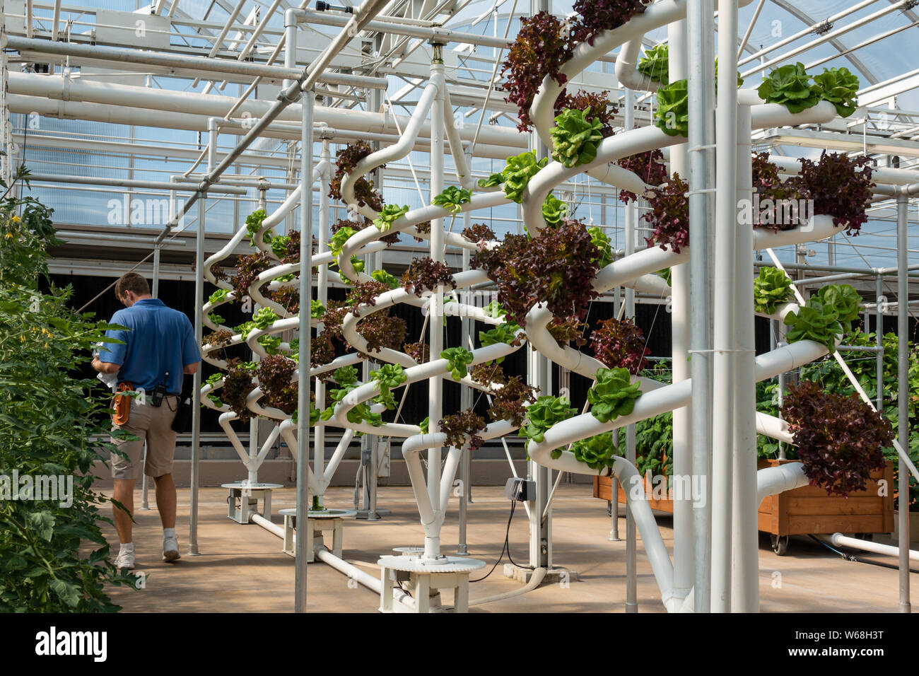 Orlando, FL/USA-7/31/19: Plants on display at the Living with the Land ...