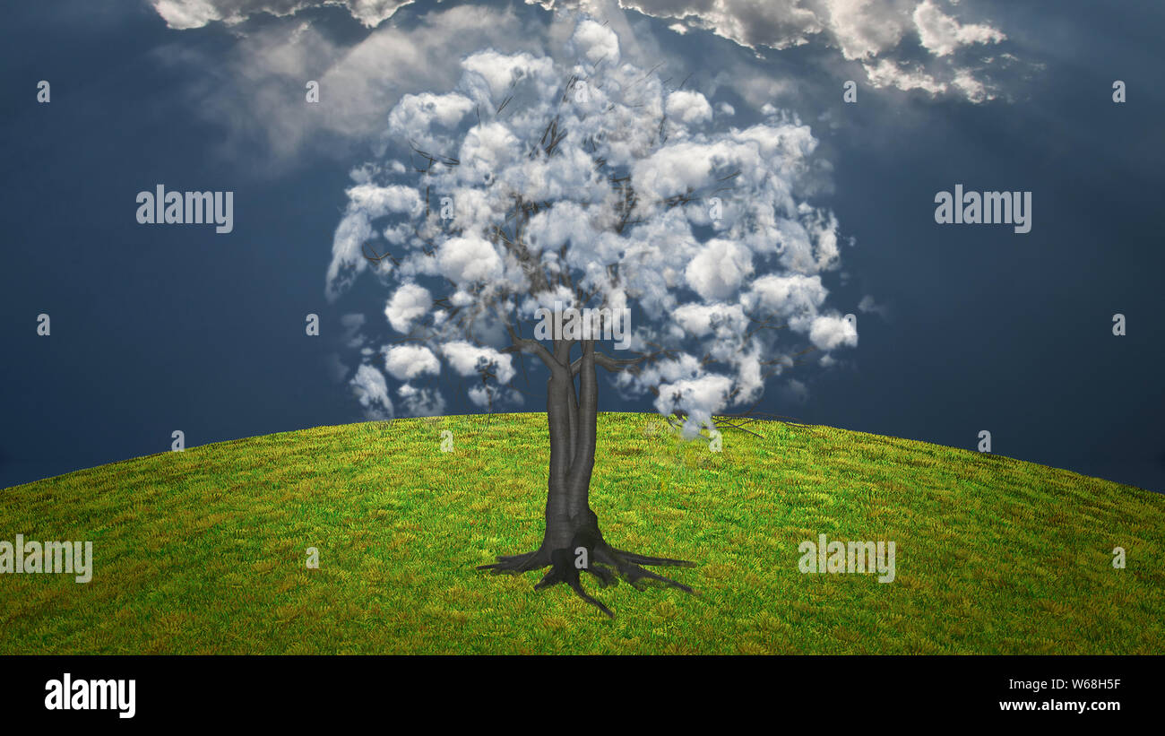 Cloud tree on green lawn Stock Photo - Alamy