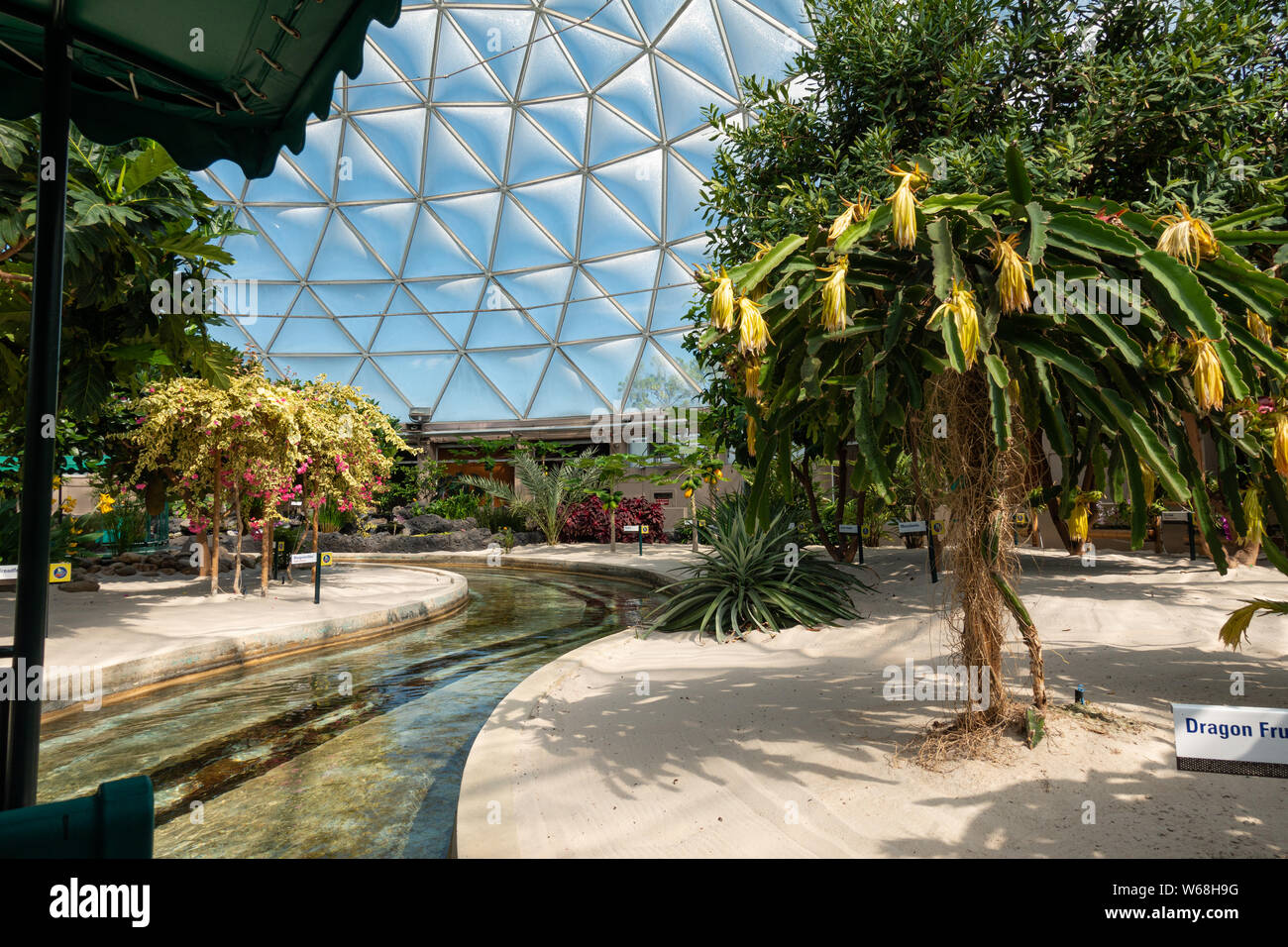 Orlando, FL/USA-7/31/19: Plants on display at the Living with the Land ...